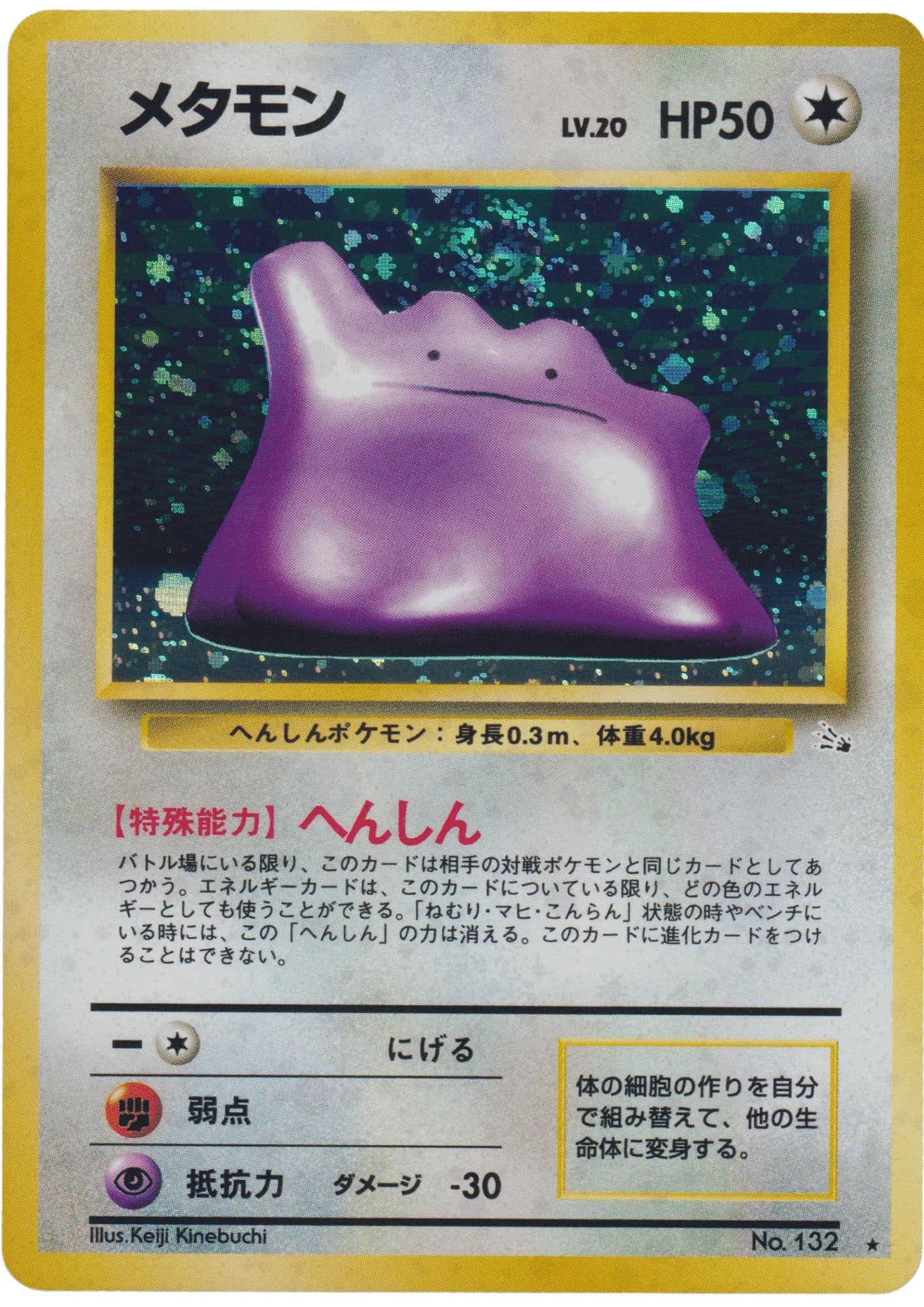 Ditto No.132 | Fossil – ChitoroShop